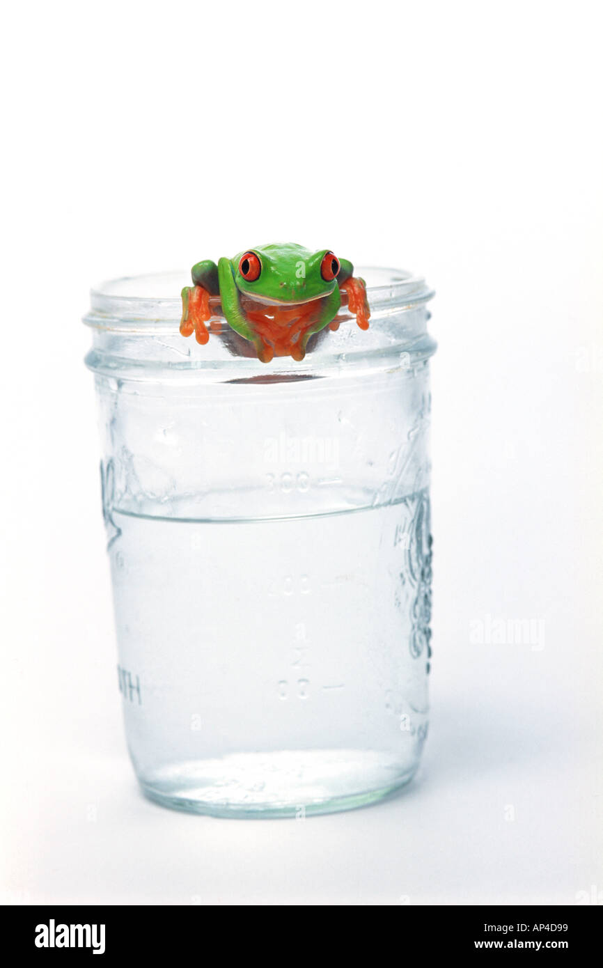 Corey mason hi-res stock photography and images - Alamy