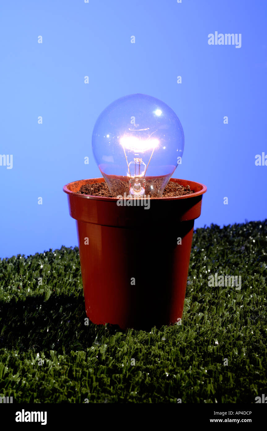 Plantpot hi-res stock photography and images - Alamy