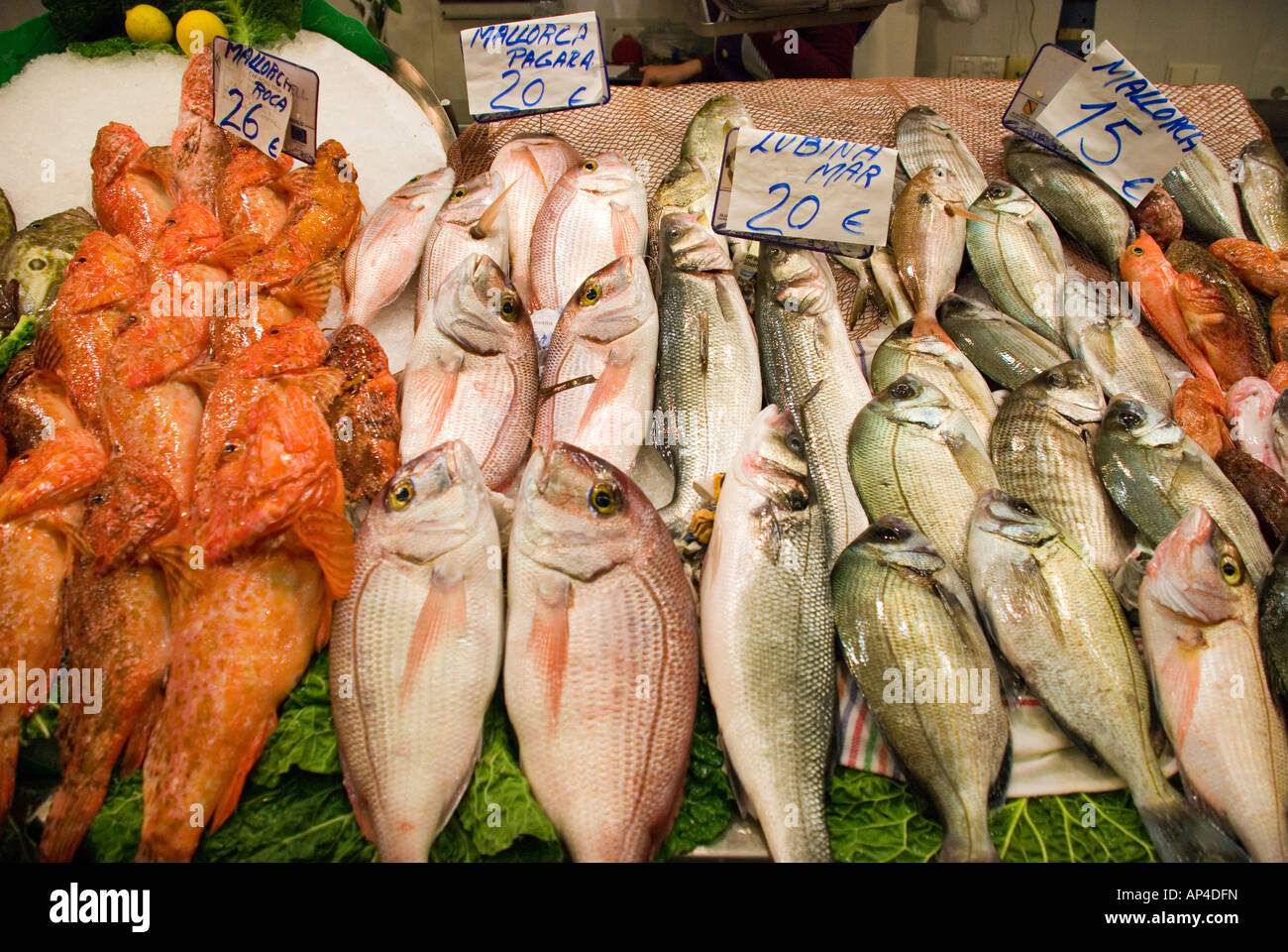 Palma Mallorca Spain Fish on sale at Palmas main food market Mercat ...