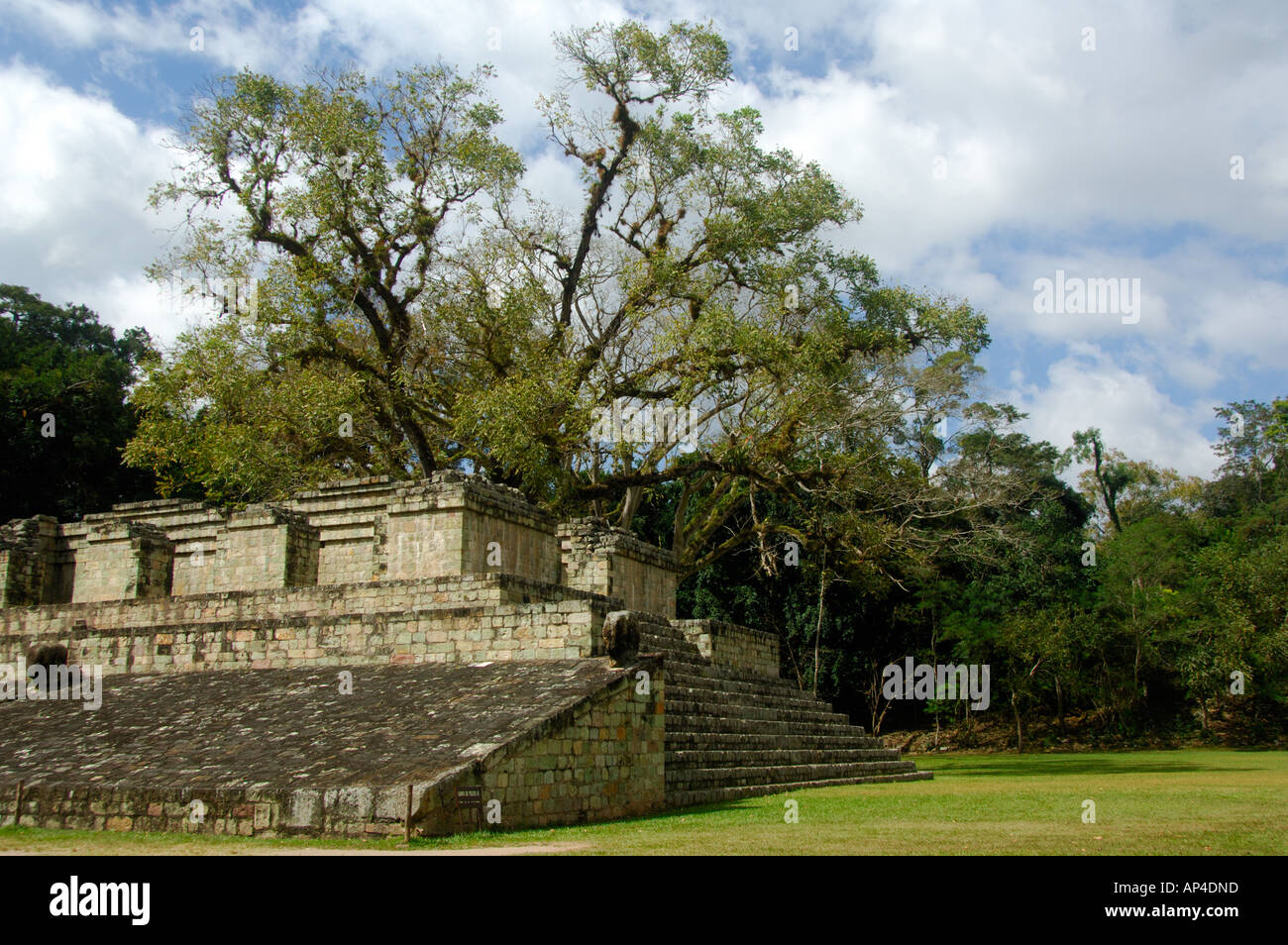Central America, Honduras, Copan (aka Xukpi in Maya). Ballcourt Stock ...