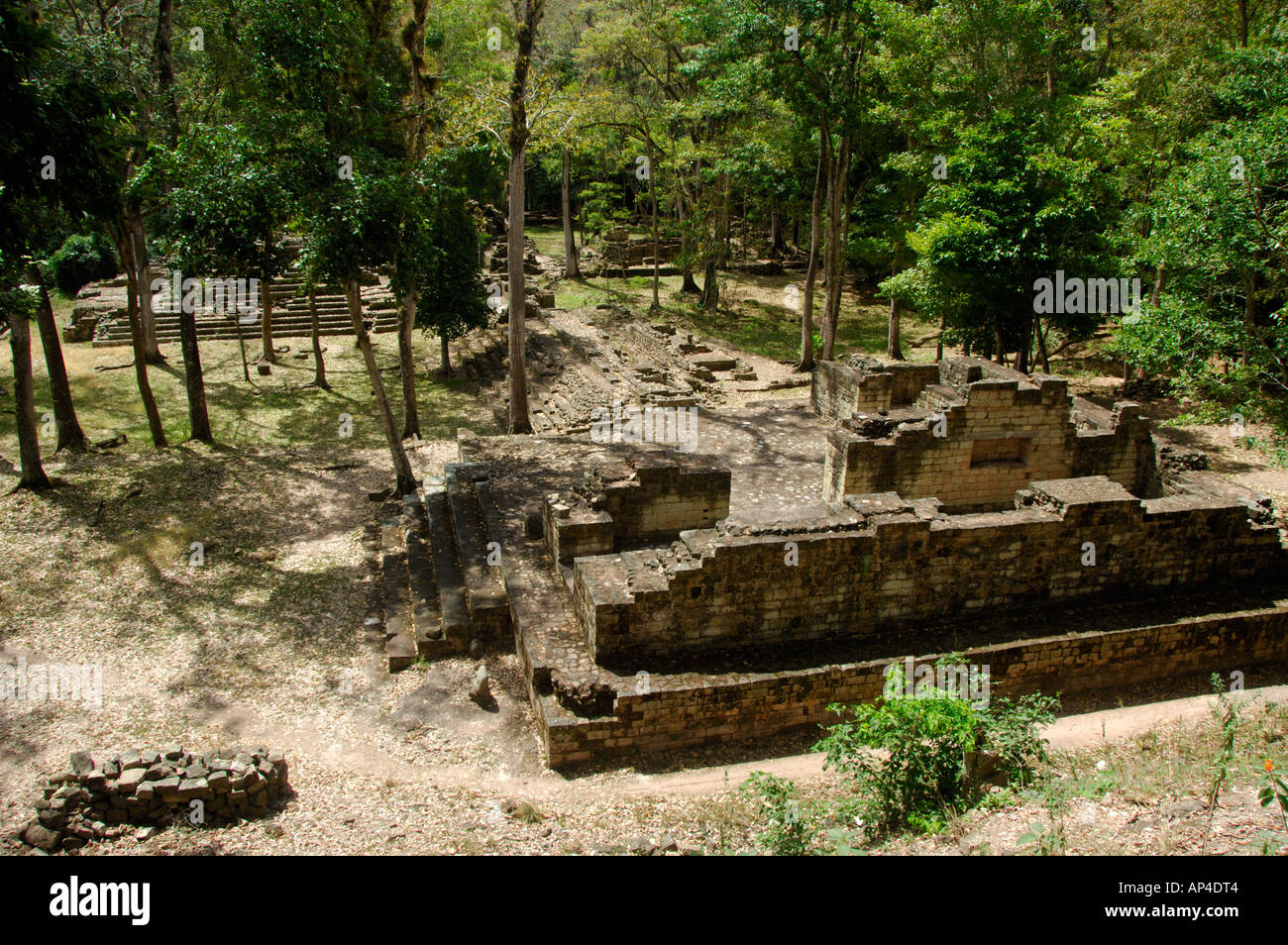 Central America, Honduras, Copan (aka Xukpi in Maya). The Cemetery ...