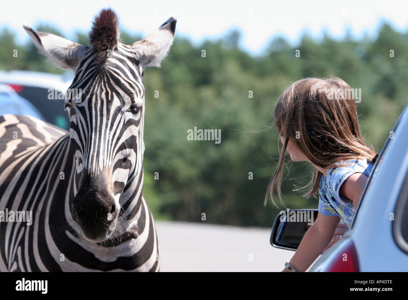 Look spellbound hi-res stock photography and images - Alamy
