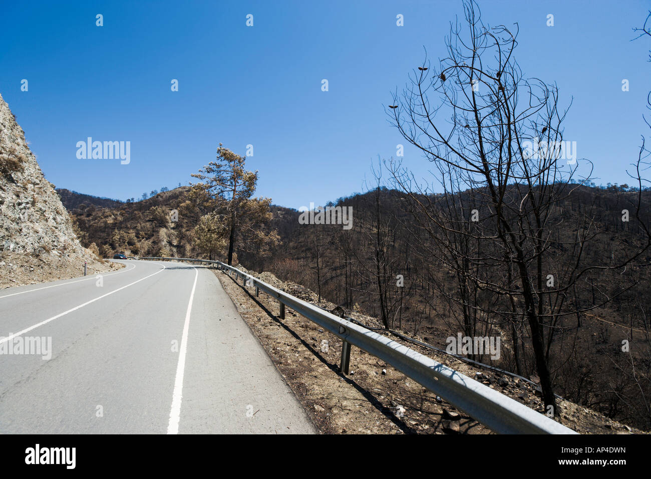 Damage after Forest Fire, Troodos Mountains, Cyprus Stock Photo - Alamy