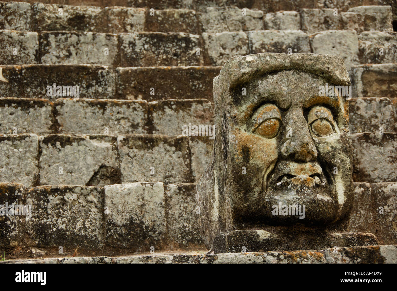 Central America, Honduras, Copan (aka Xukpi in Maya). Stone face Stock ...