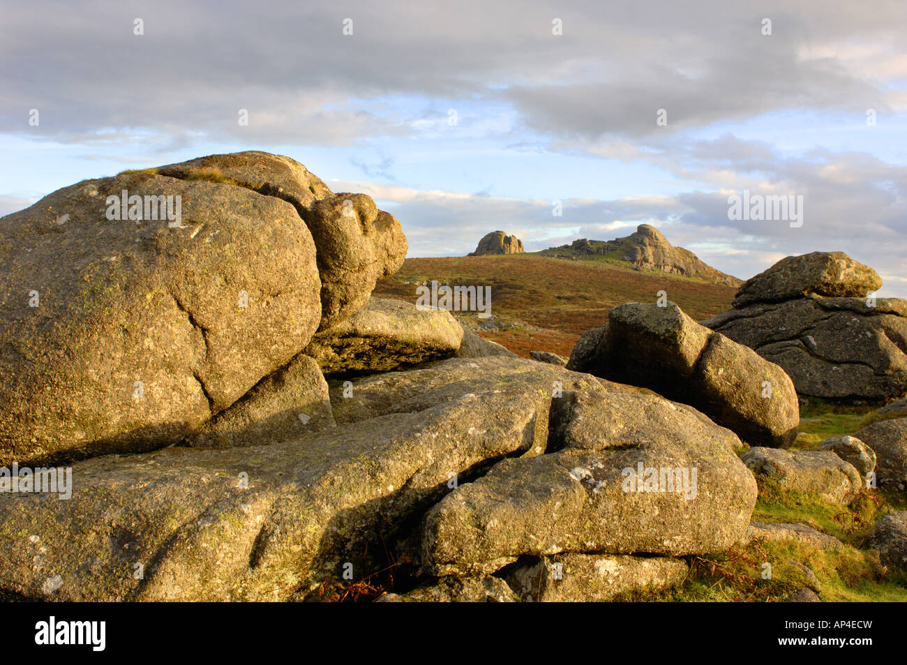Haytor Rocks in Dartmoor National Park Devon England Stock Photo - Alamy