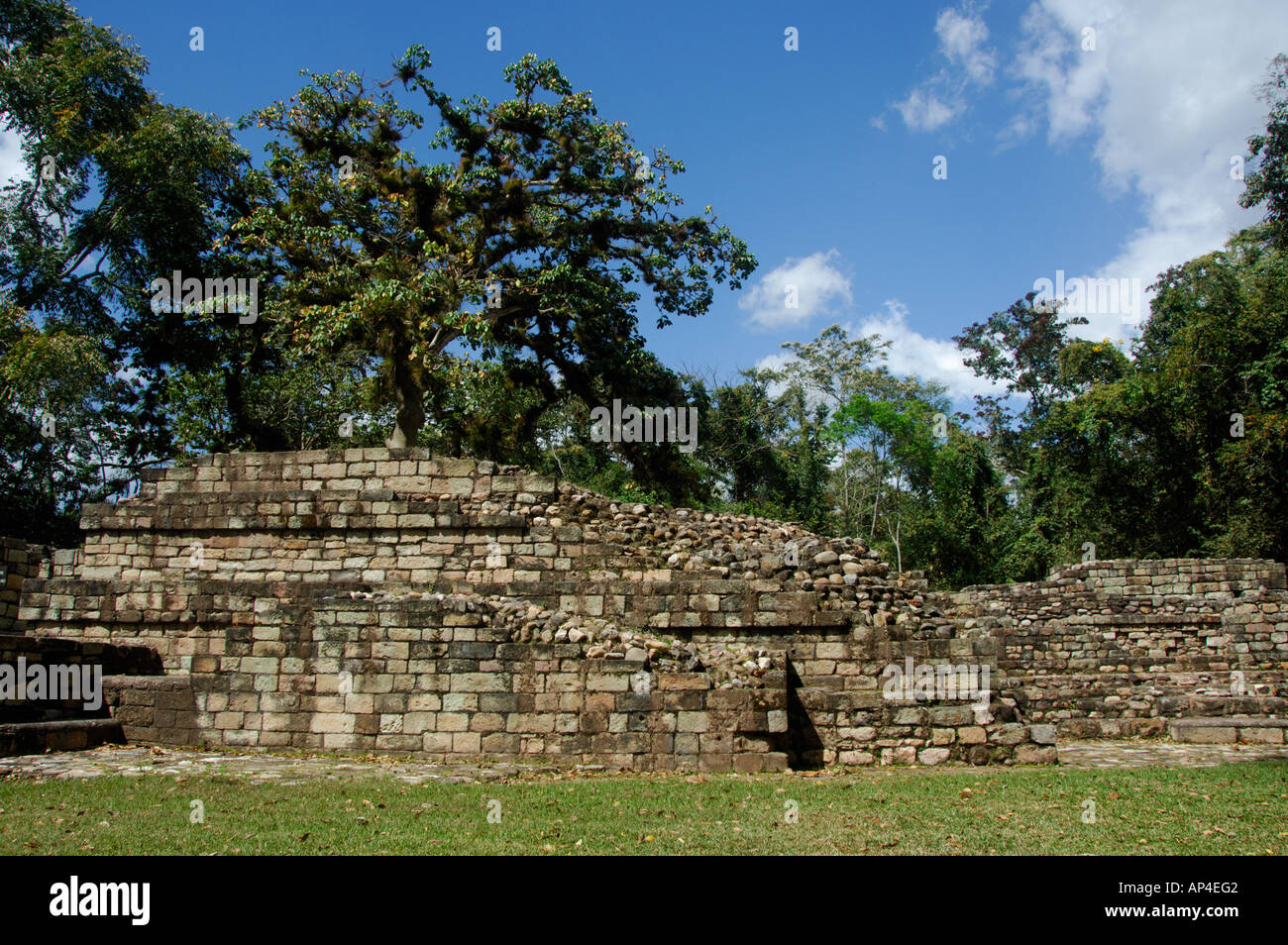 Central America, Honduras, Copan, La Sepulturas Stock Photo - Alamy