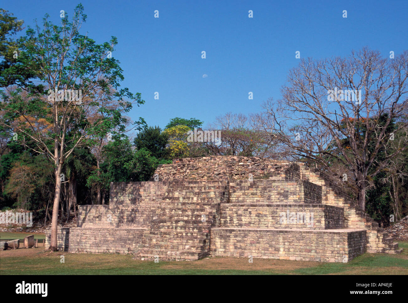 Honduras, Copan, Gran Plaza. Temple IV Stock Photo - Alamy