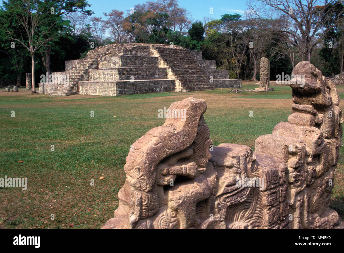 Honduras, Copan, Gran Plaza. Temple IV Stock Photo - Alamy