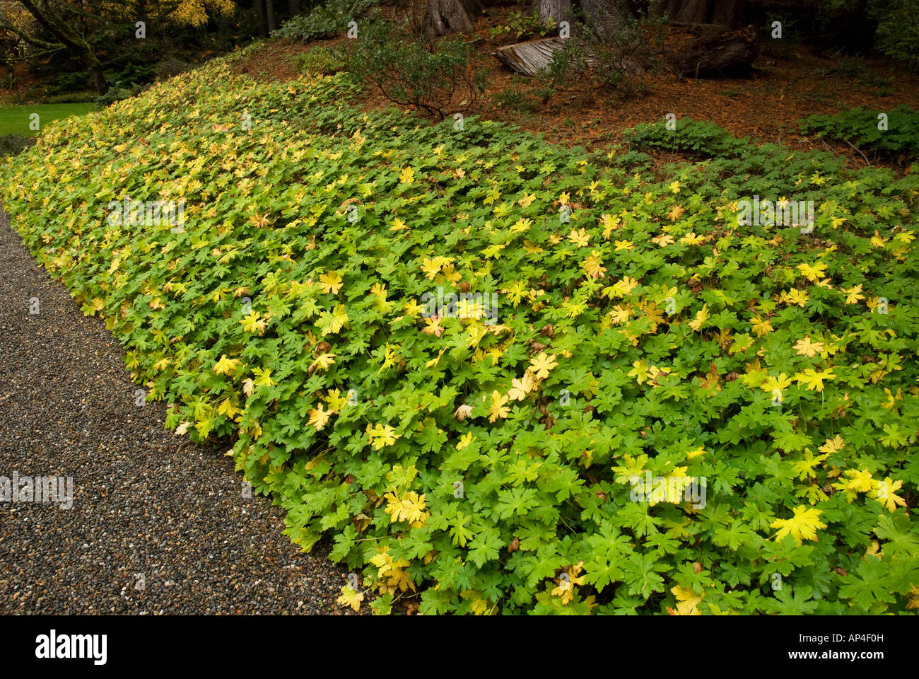 Us pathway paths pathways hi-res stock photography and images - Alamy