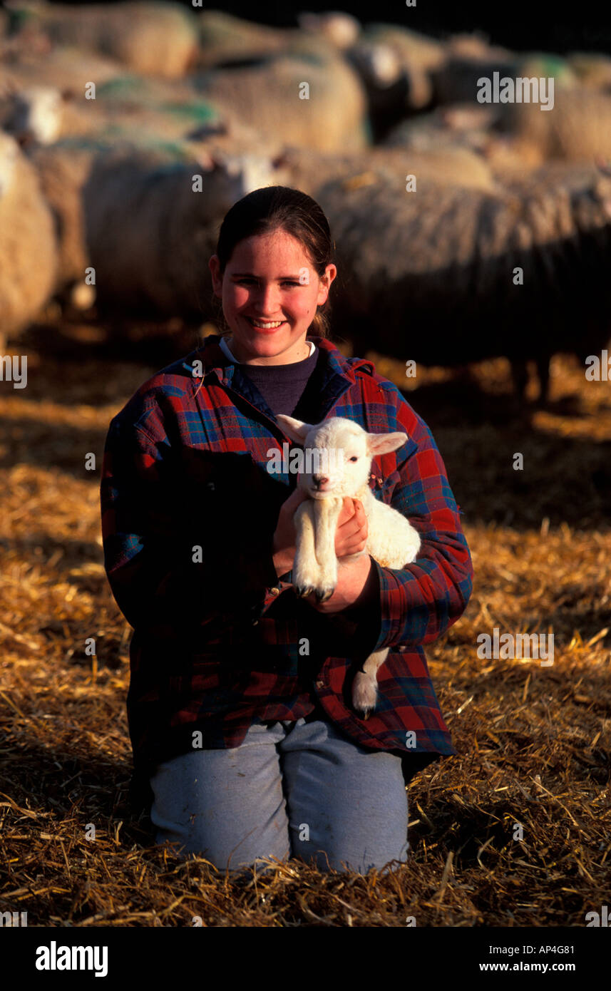 Young girl holding lamb during lambing season on an English farm Stock ...