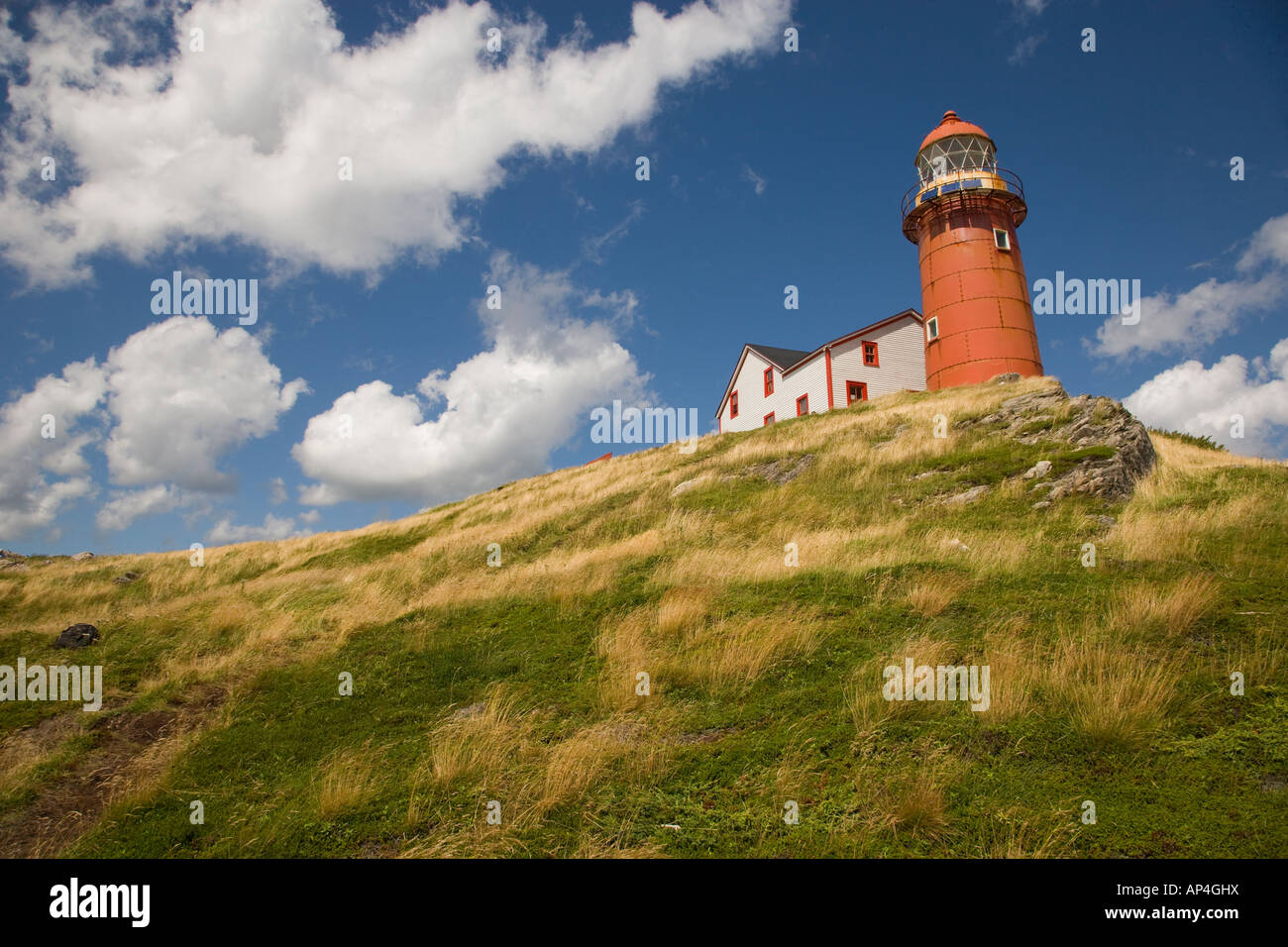 Ferryland Lighthouse, Newfoundland, Canada Stock Photo - Alamy