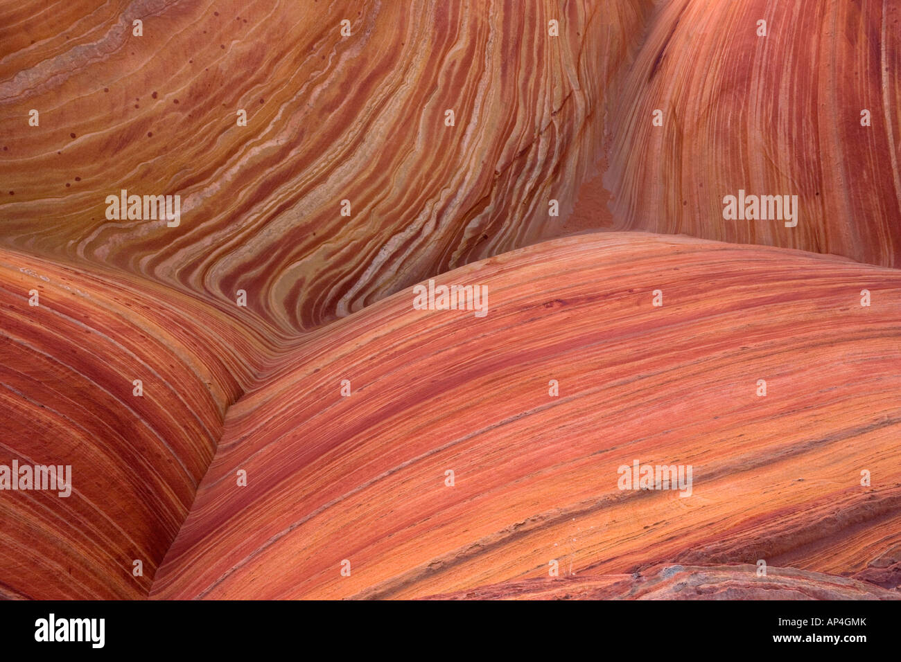 The Wave an extraordinary area of sinuous eroded banded sandstone rocks ...