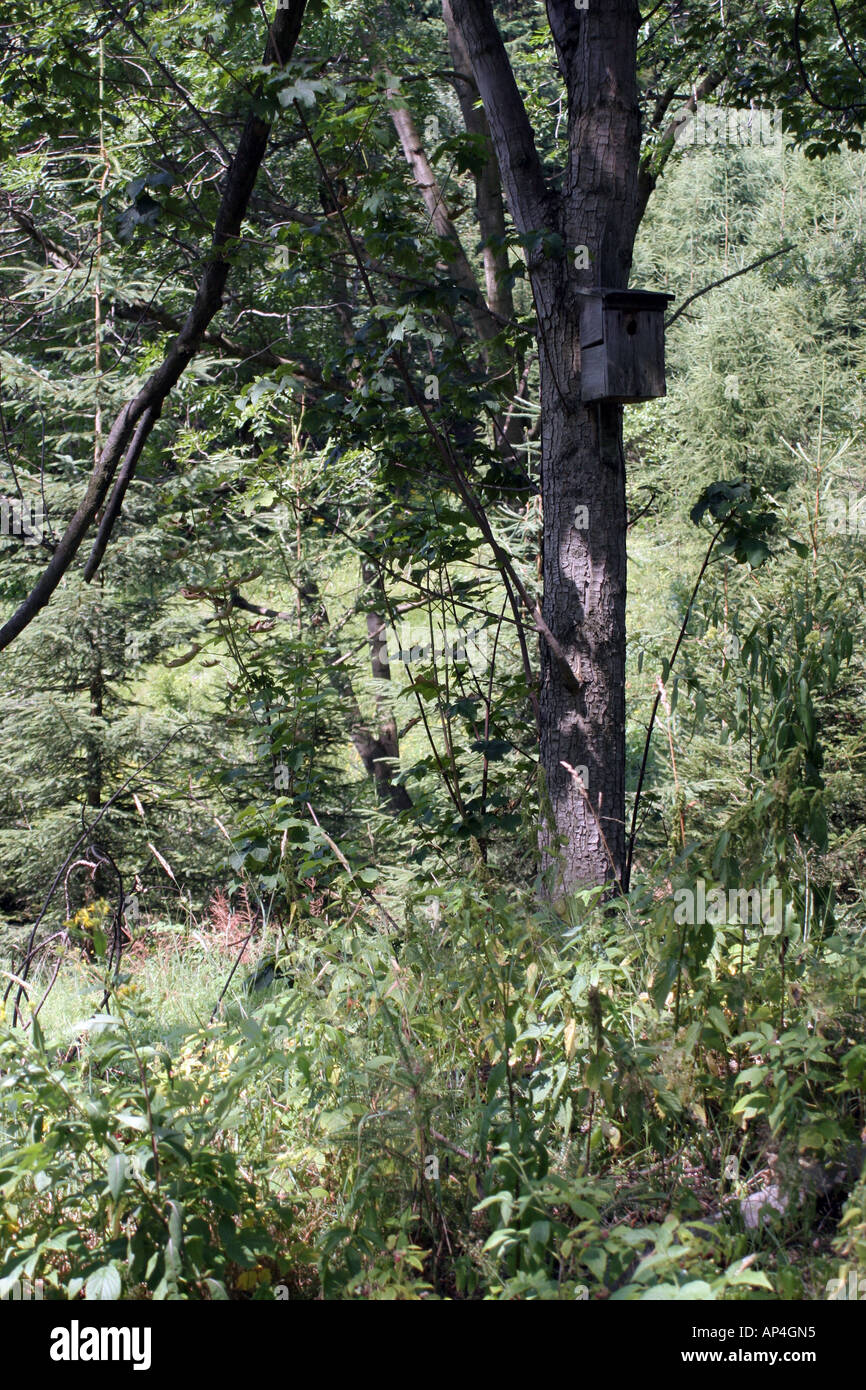 Hursery hi-res stock photography and images - Alamy