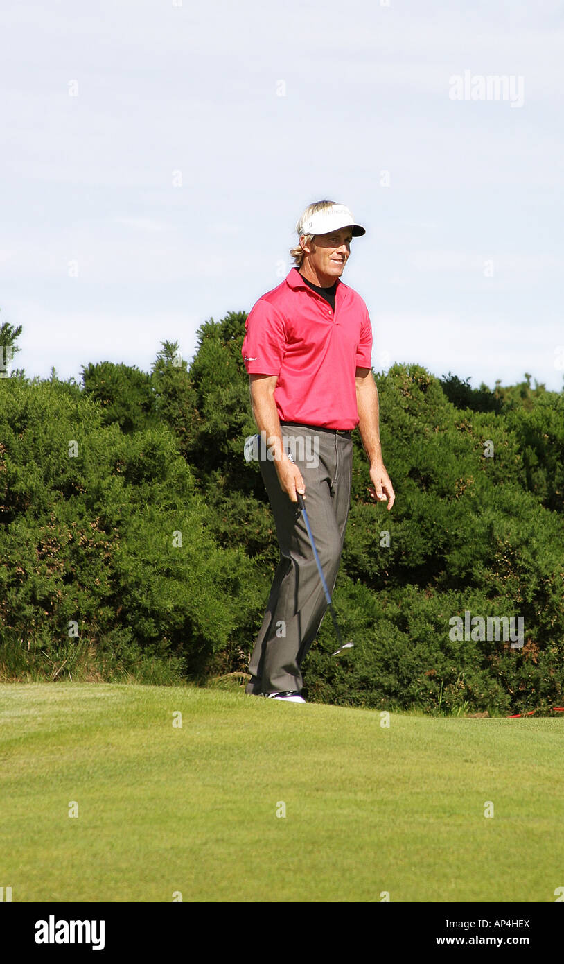 Stuart Appleby professional golfer Stock Photo - Alamy