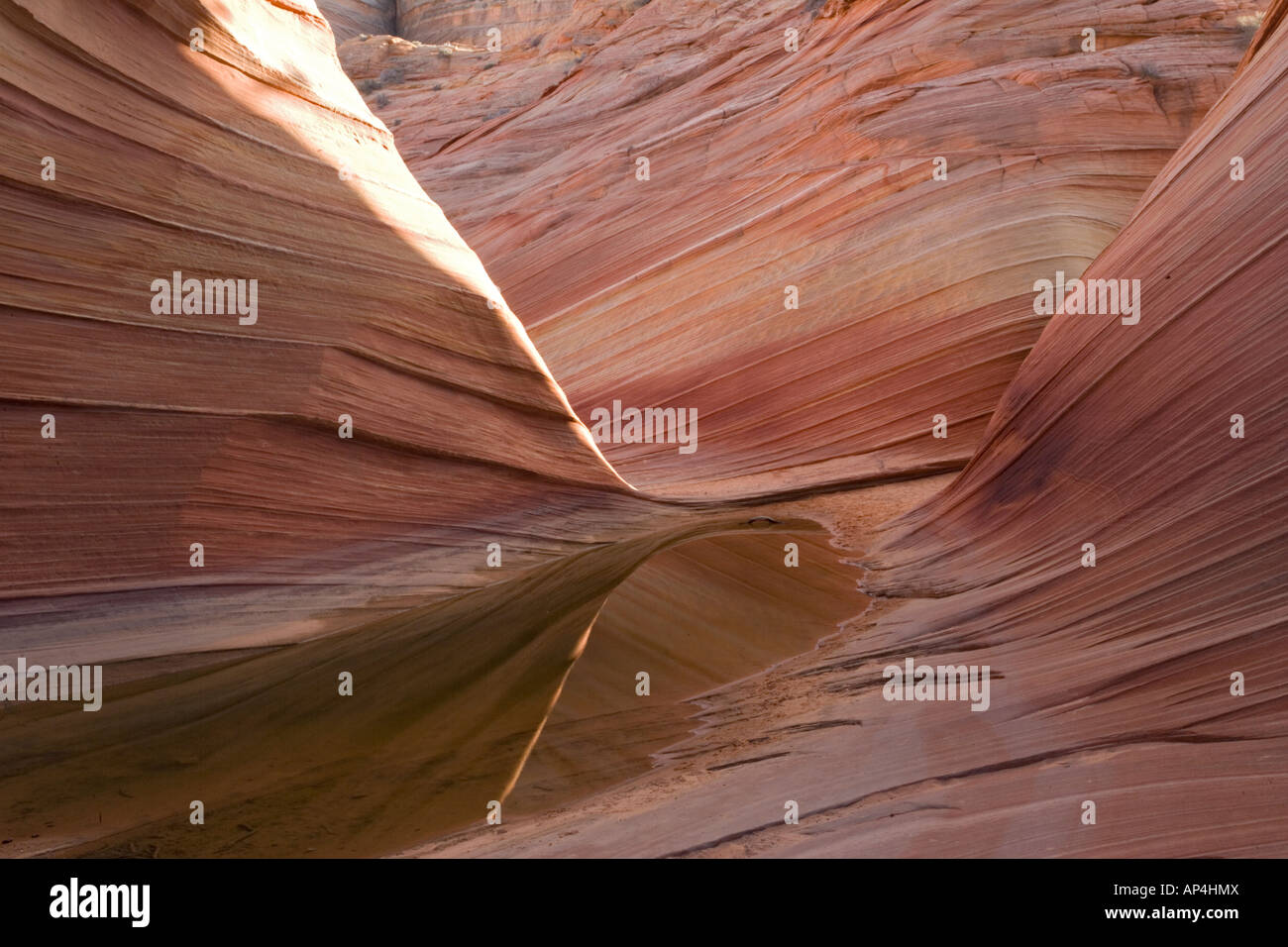 The Wave an extraordinary area of sinuous eroded banded sandstone rocks ...