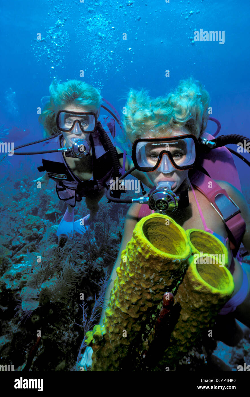 Mexico, Yucatan Peninsula, Coral Reef, Underwater, Scuba Diving, Couple ...