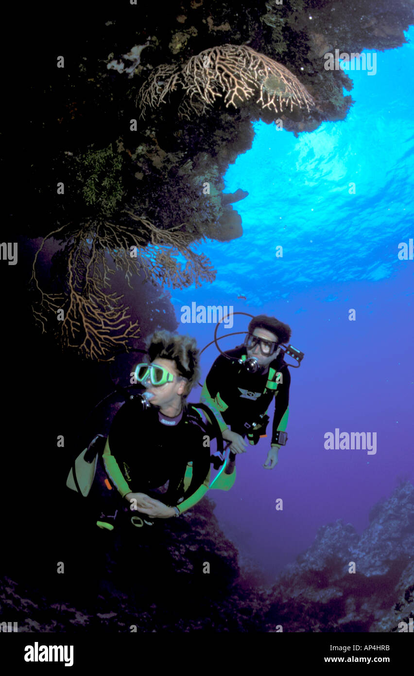 Mexico, Cozumel, Coral Reef, Underwater, Scuba Diving Stock Photo - Alamy