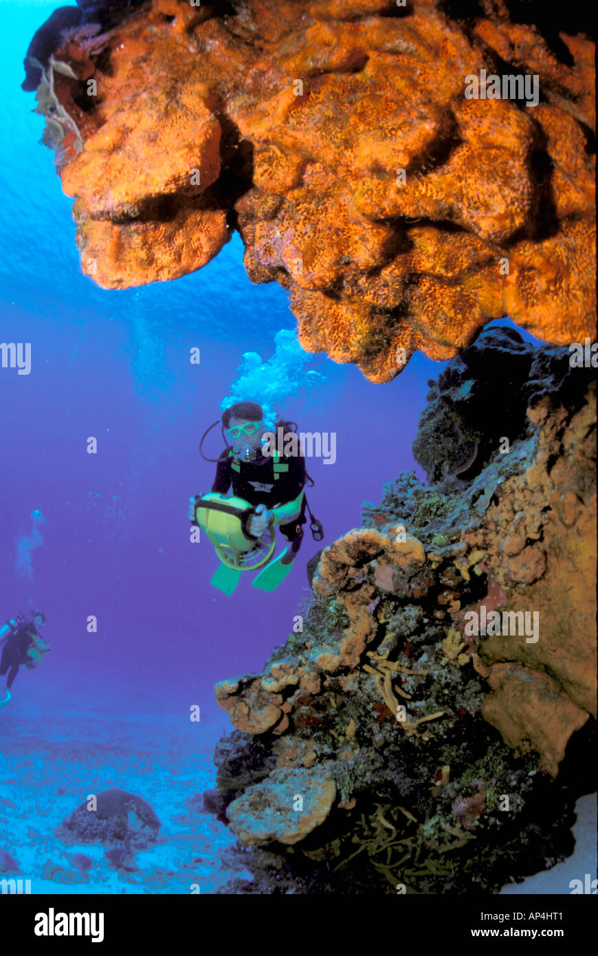 Mexico, Yucatan Peninsula, Coral Reef, Underwater, Scuba Diving Stock ...