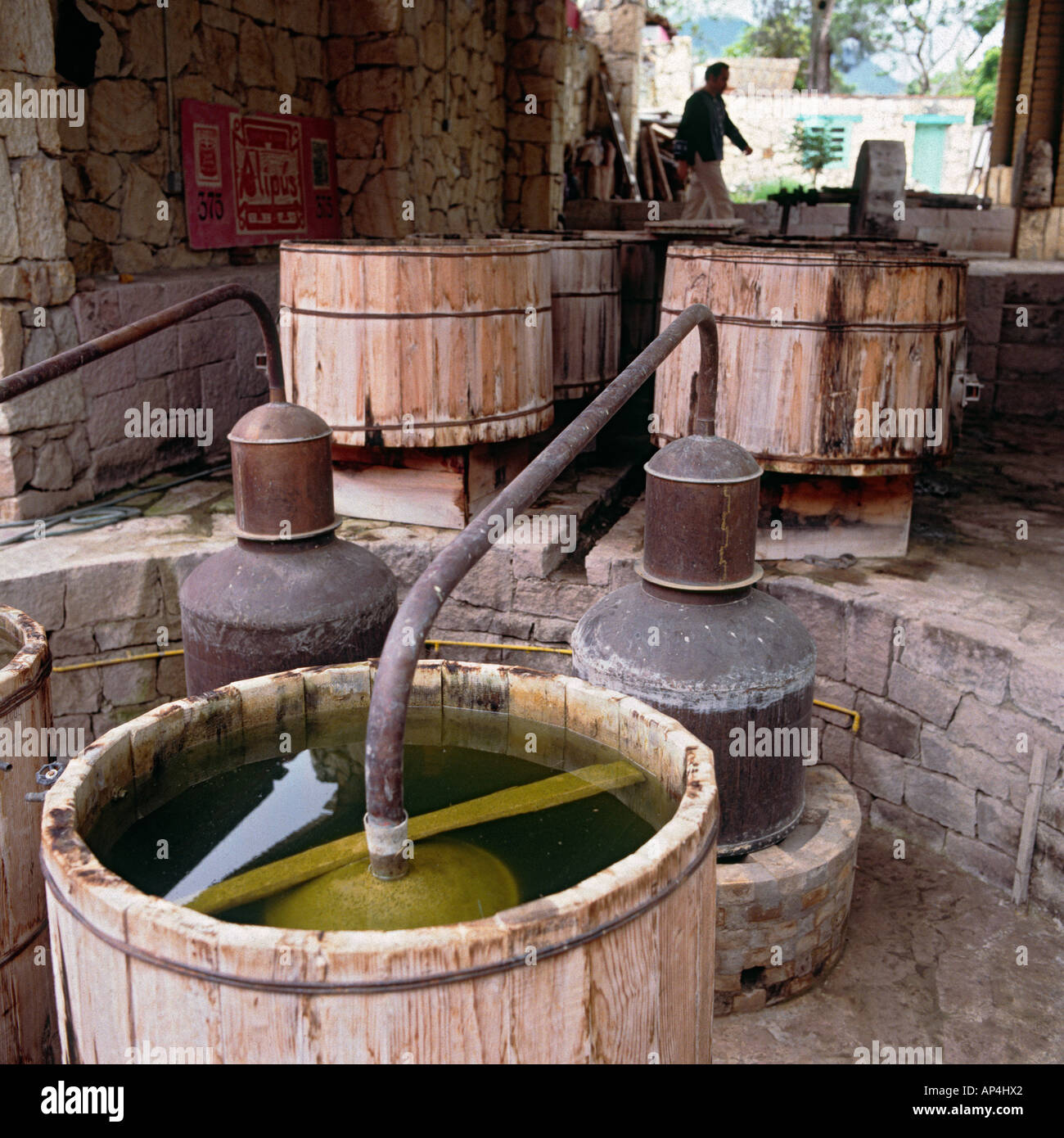 Mexico, Oaxaca, Matatlan. Los Danzantes mezcal distillery in Santiago ...