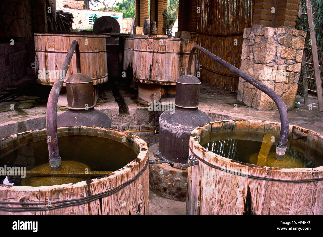 Mexico, Oaxaca, Matatlan. Los Danzantes mezcal distillery in Santiago ...