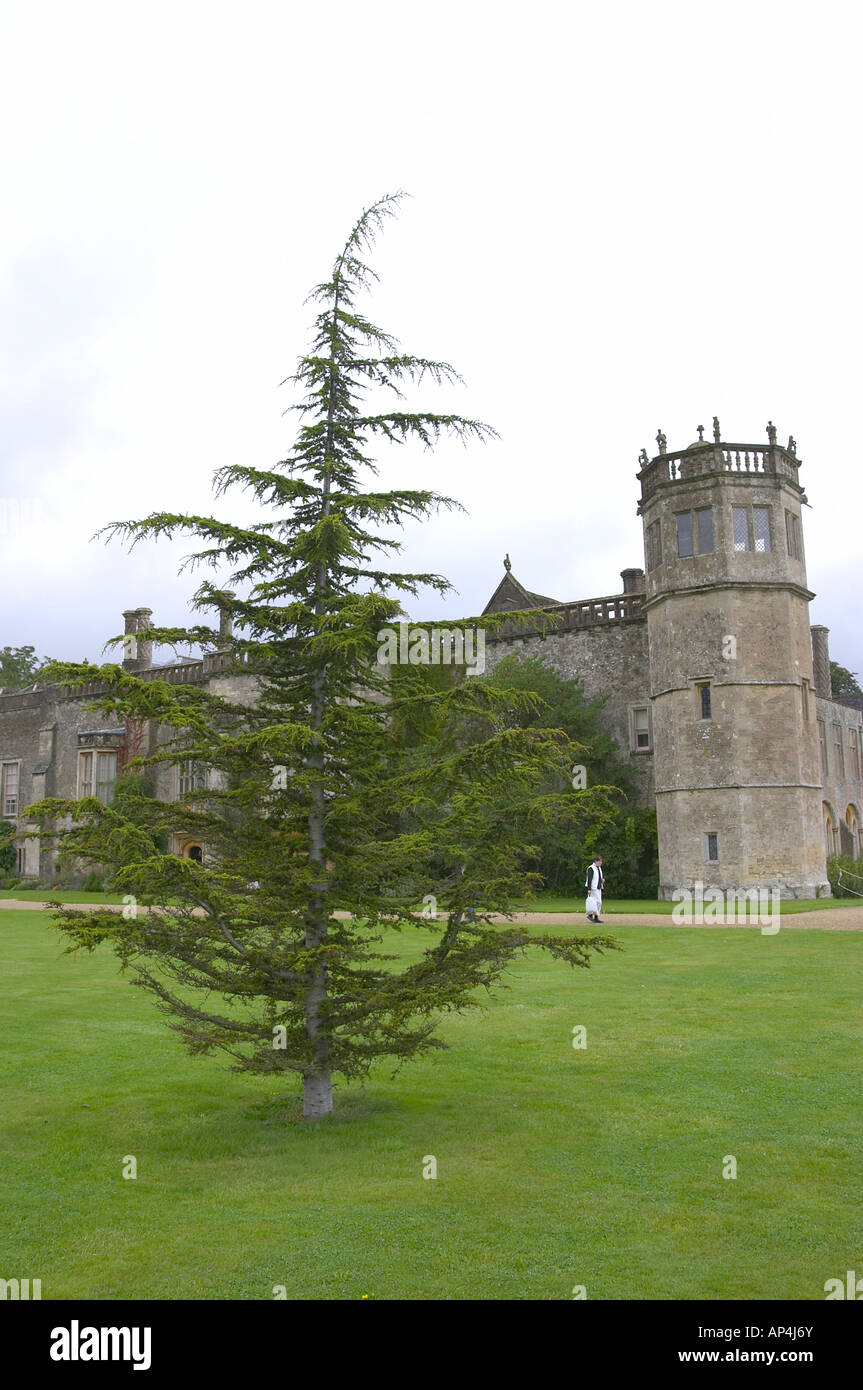 Fox talbot window hi-res stock photography and images - Alamy