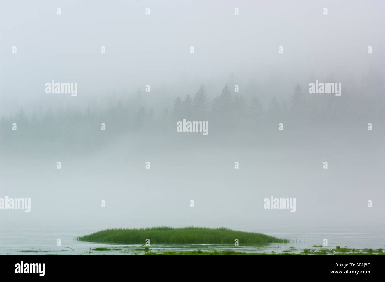 Rain and fog, Juneau, Alaska USA Stock Photo - Alamy