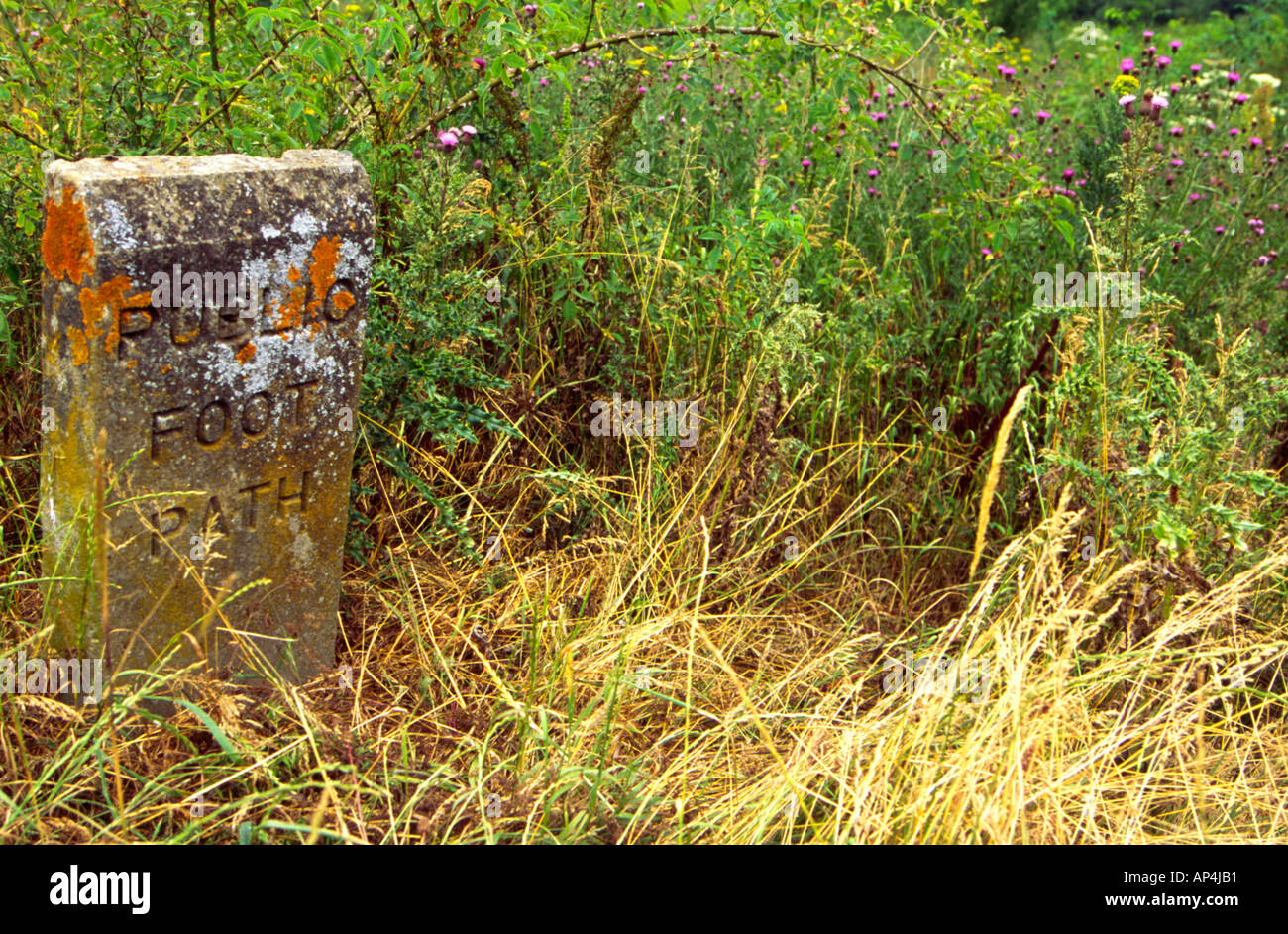 Kent track pathway footpath hi-res stock photography and images - Alamy