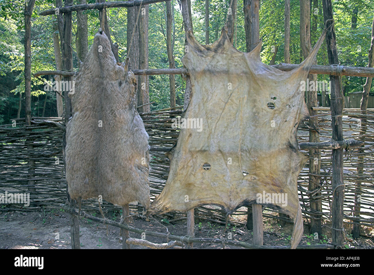 Monacan indian hi-res stock photography and images - Alamy