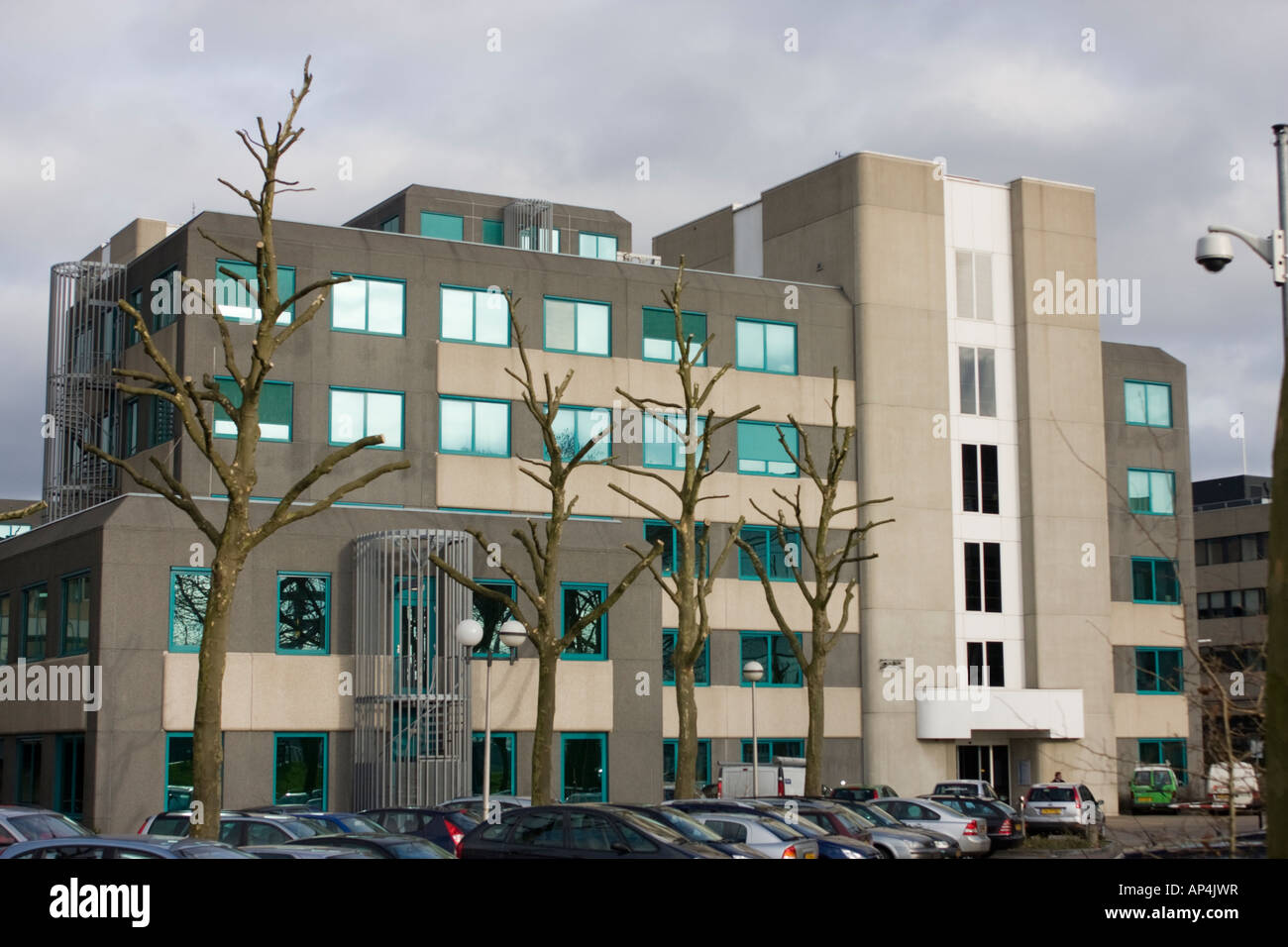 Pollarded plane trees hi-res stock photography and images - Alamy