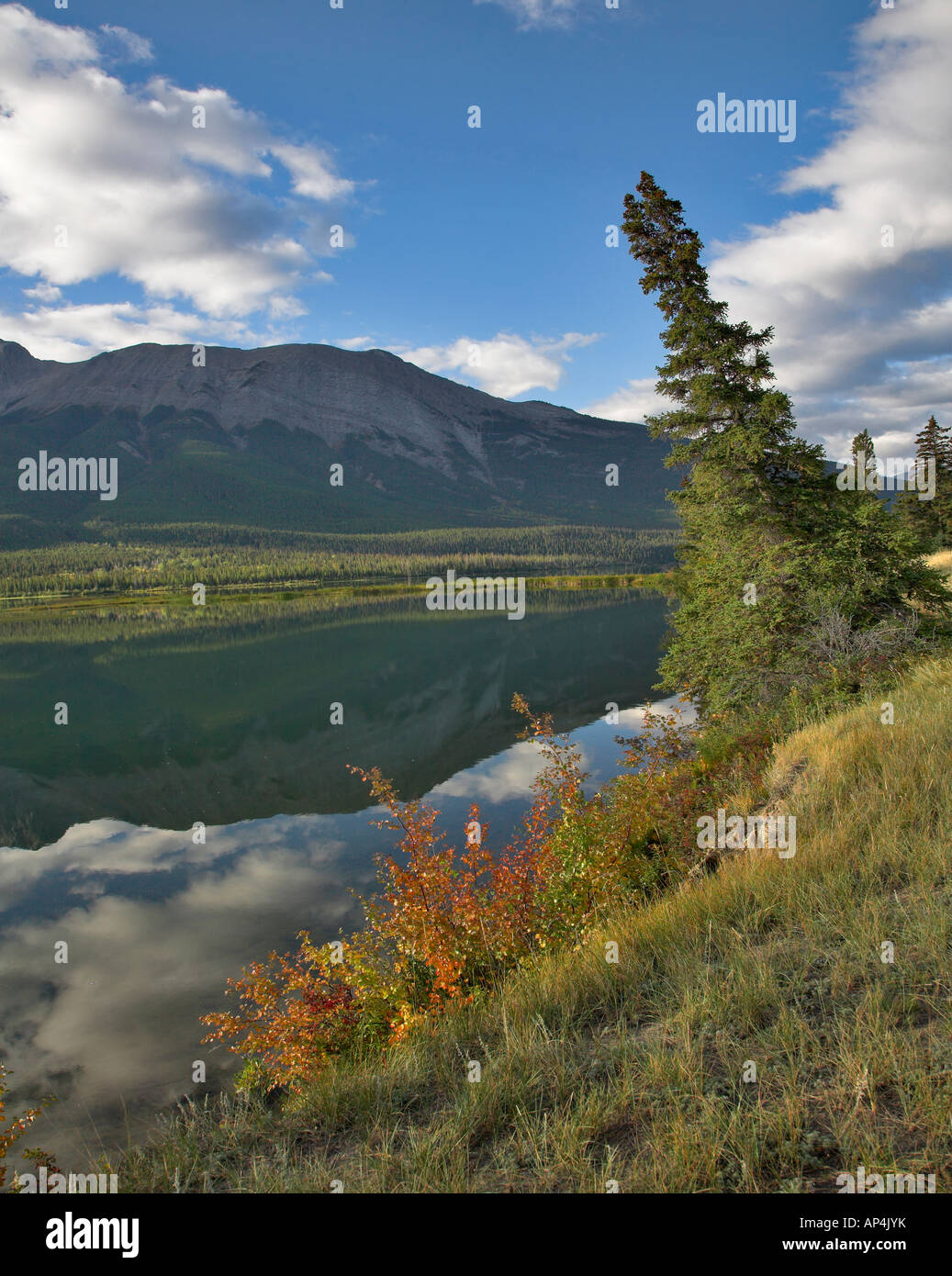 Silent lake in the early autumn morning in mountains Stock Photo - Alamy