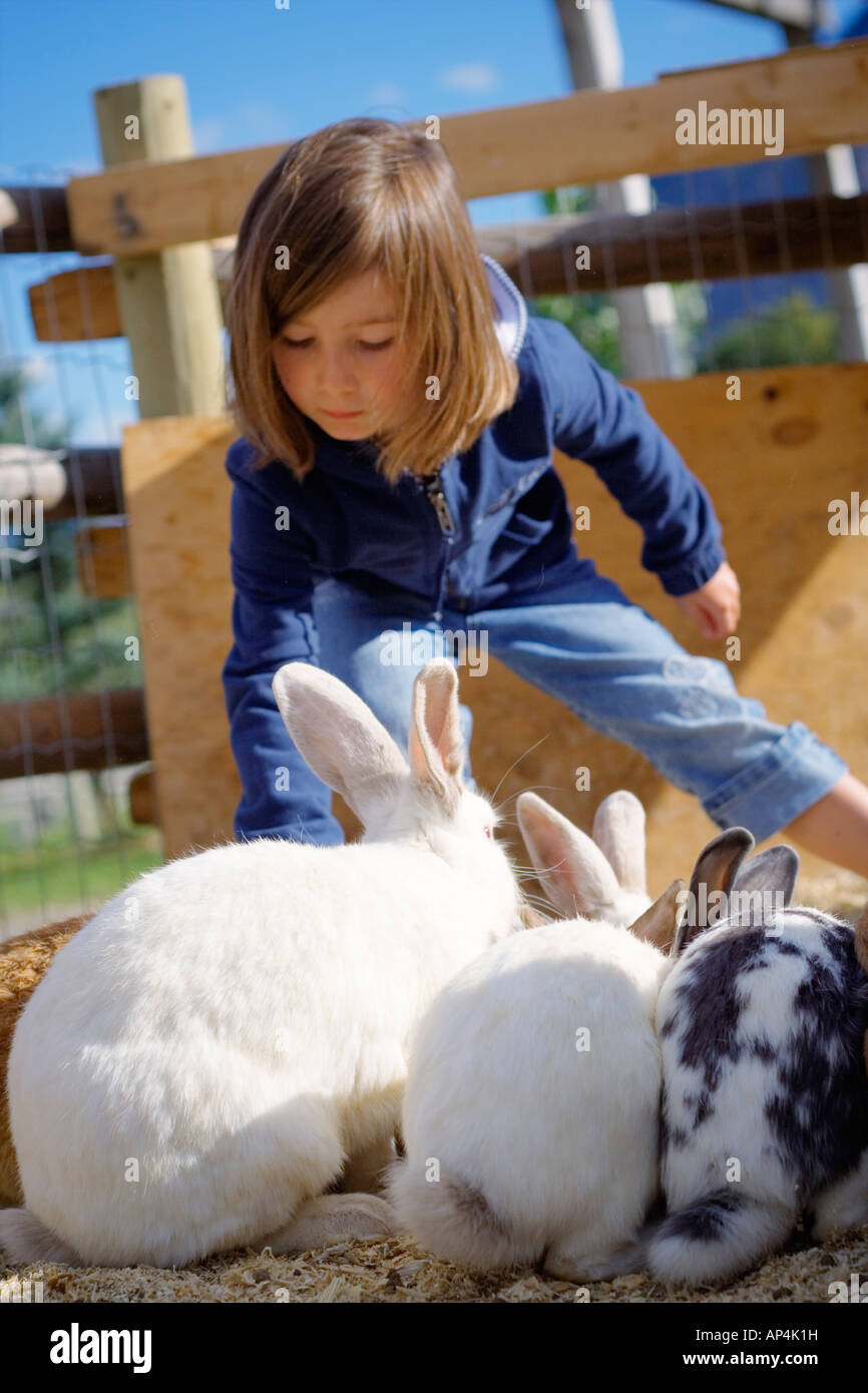 Three rabbits hi-res stock photography and images - Alamy