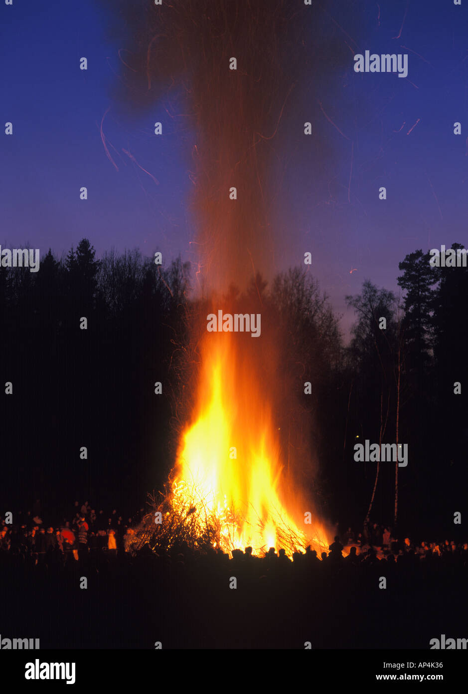 swedish traditional fire on the 30th of april to welcome the springtime ...