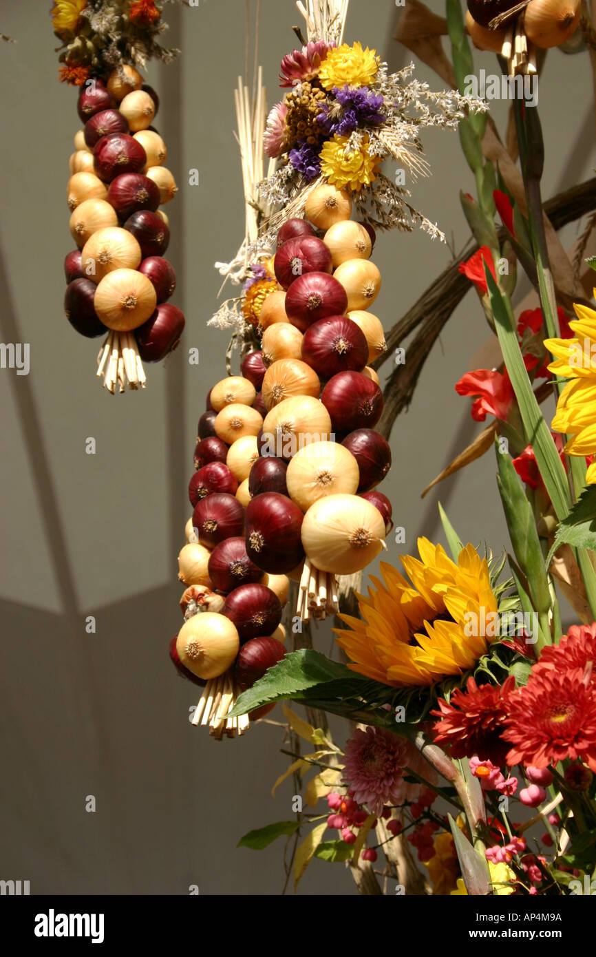 A string of onions red and yellow tied together decorated with flowers ...