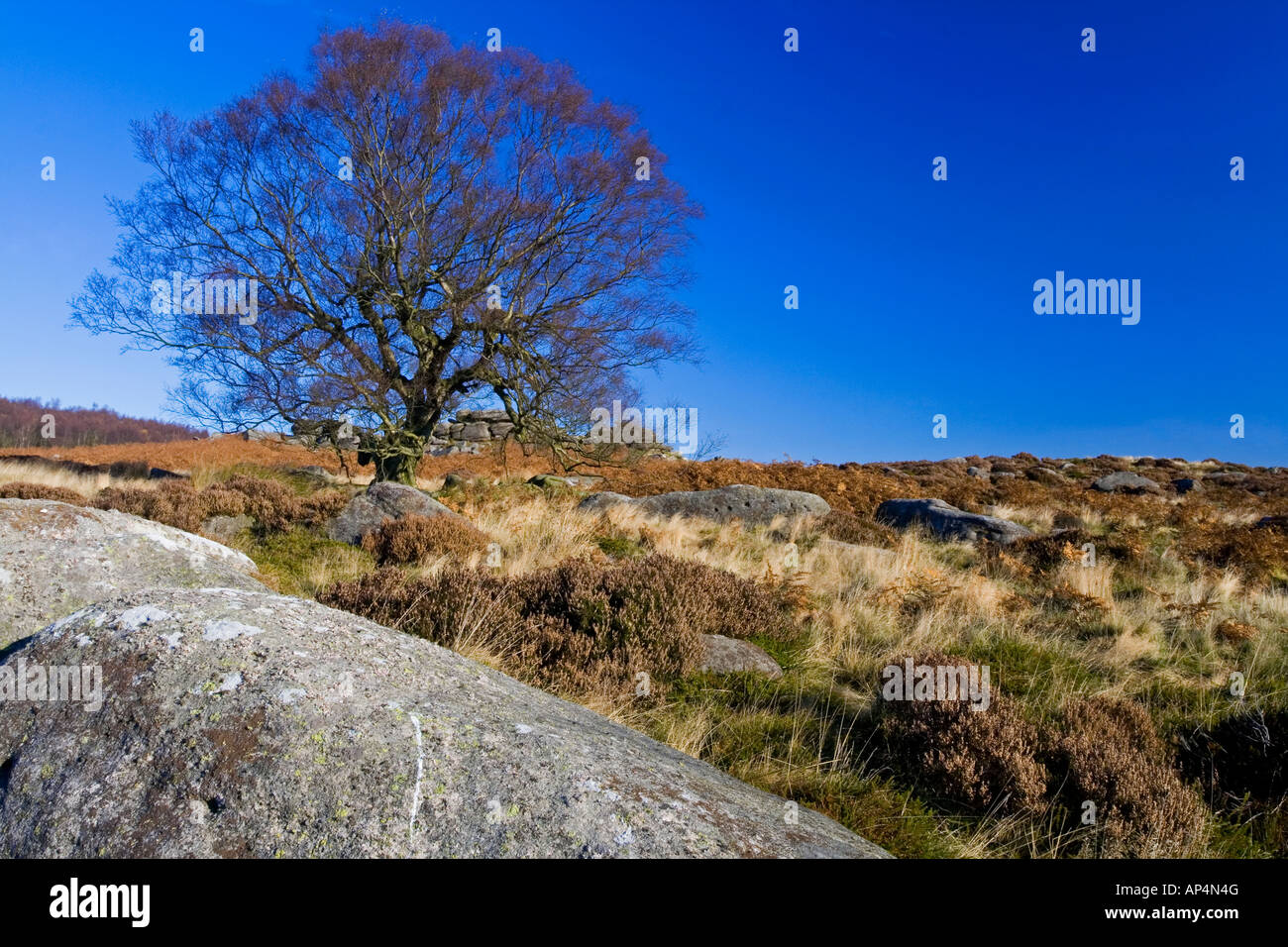 Longshaw estate derbyshire walk hi-res stock photography and images - Alamy