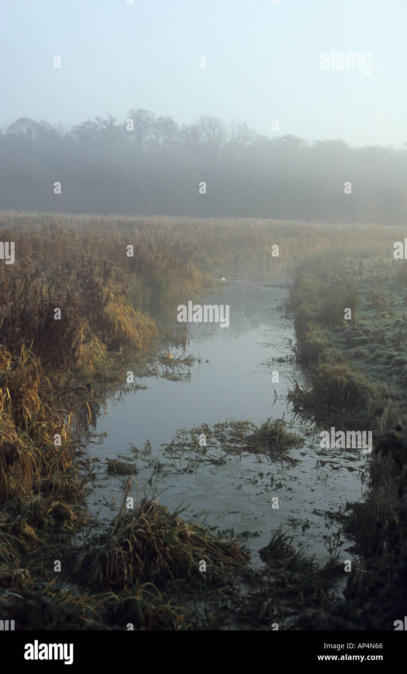 Chedgrave hi-res stock photography and images - Alamy