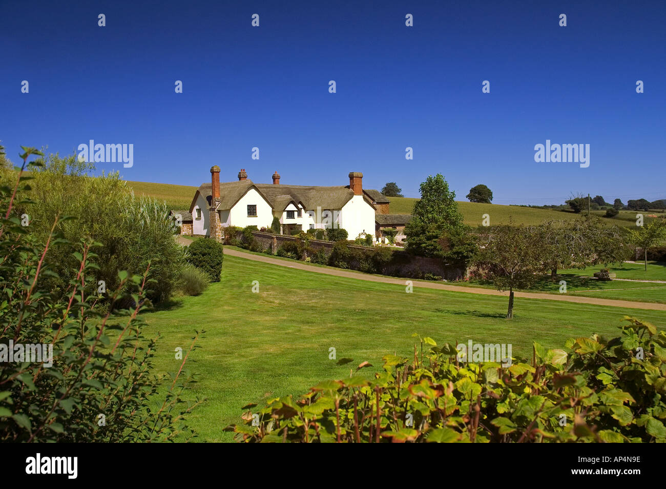 Sir walter raleigh birthplace hi-res stock photography and images - Alamy