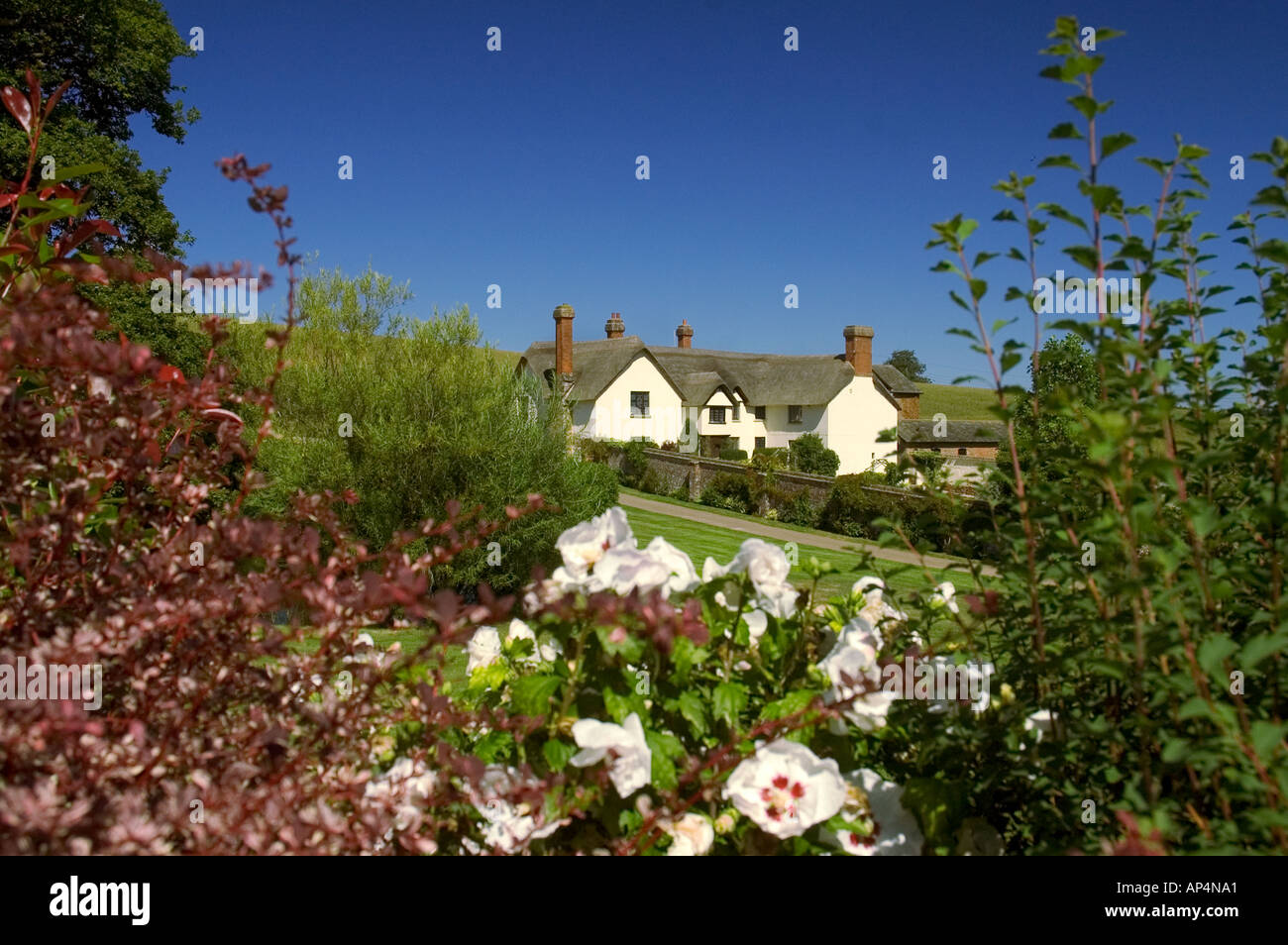 hayes barton birthplace of sir walter raleigh devon gb Stock Photo - Alamy