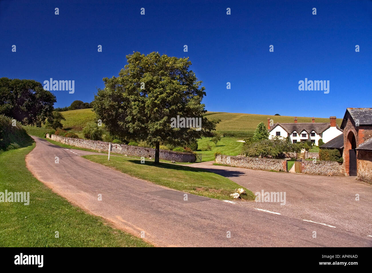 Walter raleigh hi-res stock photography and images - Alamy