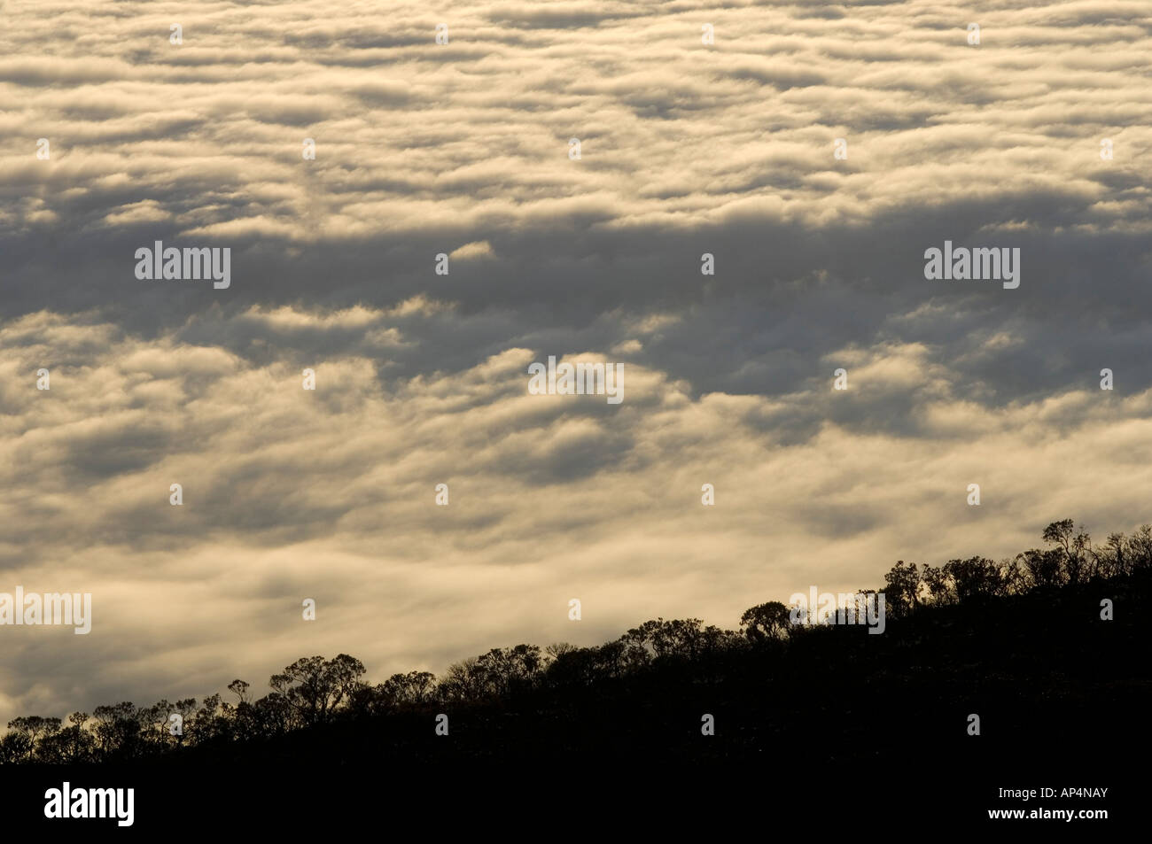 Mt william national park hi-res stock photography and images - Alamy