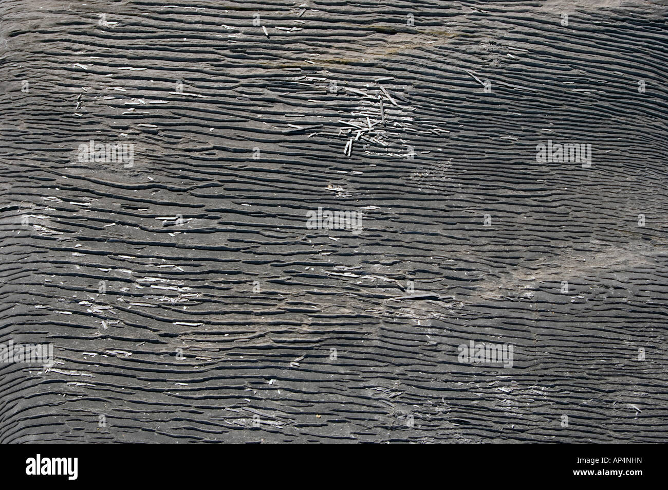 Siltstone rock formation, Edeline Island, Kimberley, Western Australia ...