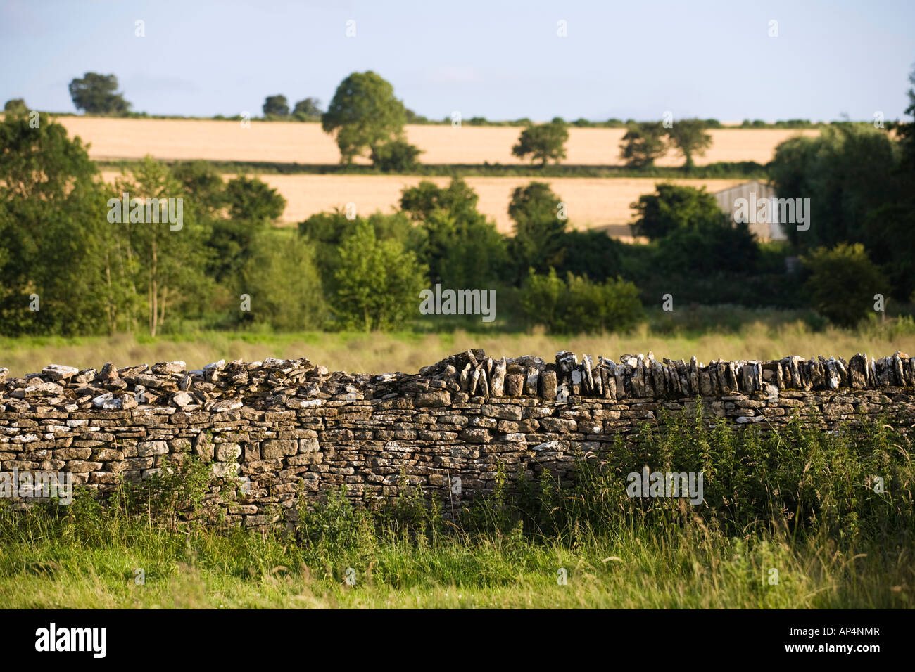 Dry stone wall at the site of the lost village of Widford, Oxfordshire ...