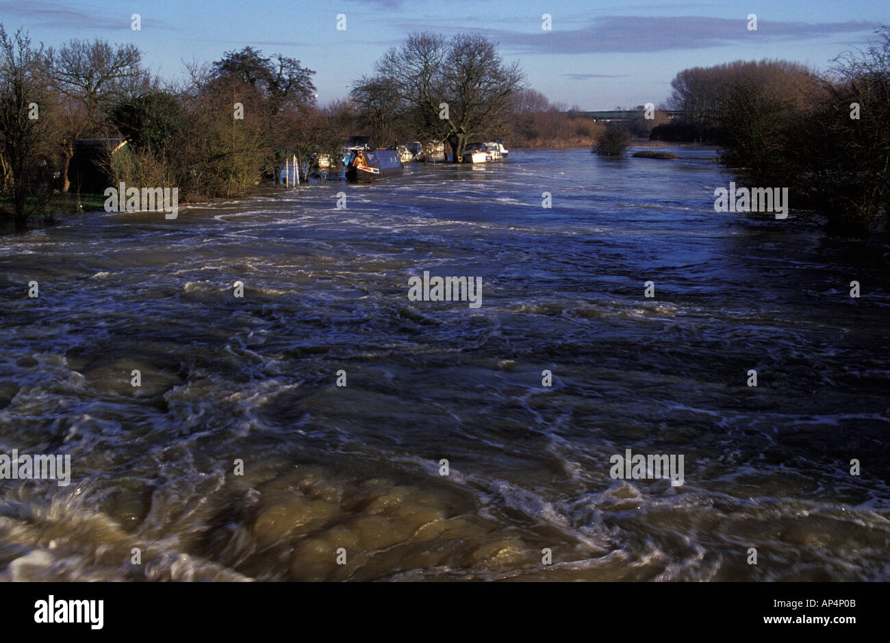 River nene in flood hi-res stock photography and images - Alamy