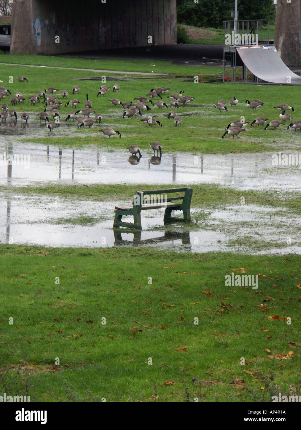 Park Bench in Flood 1 Stock Photo - Alamy