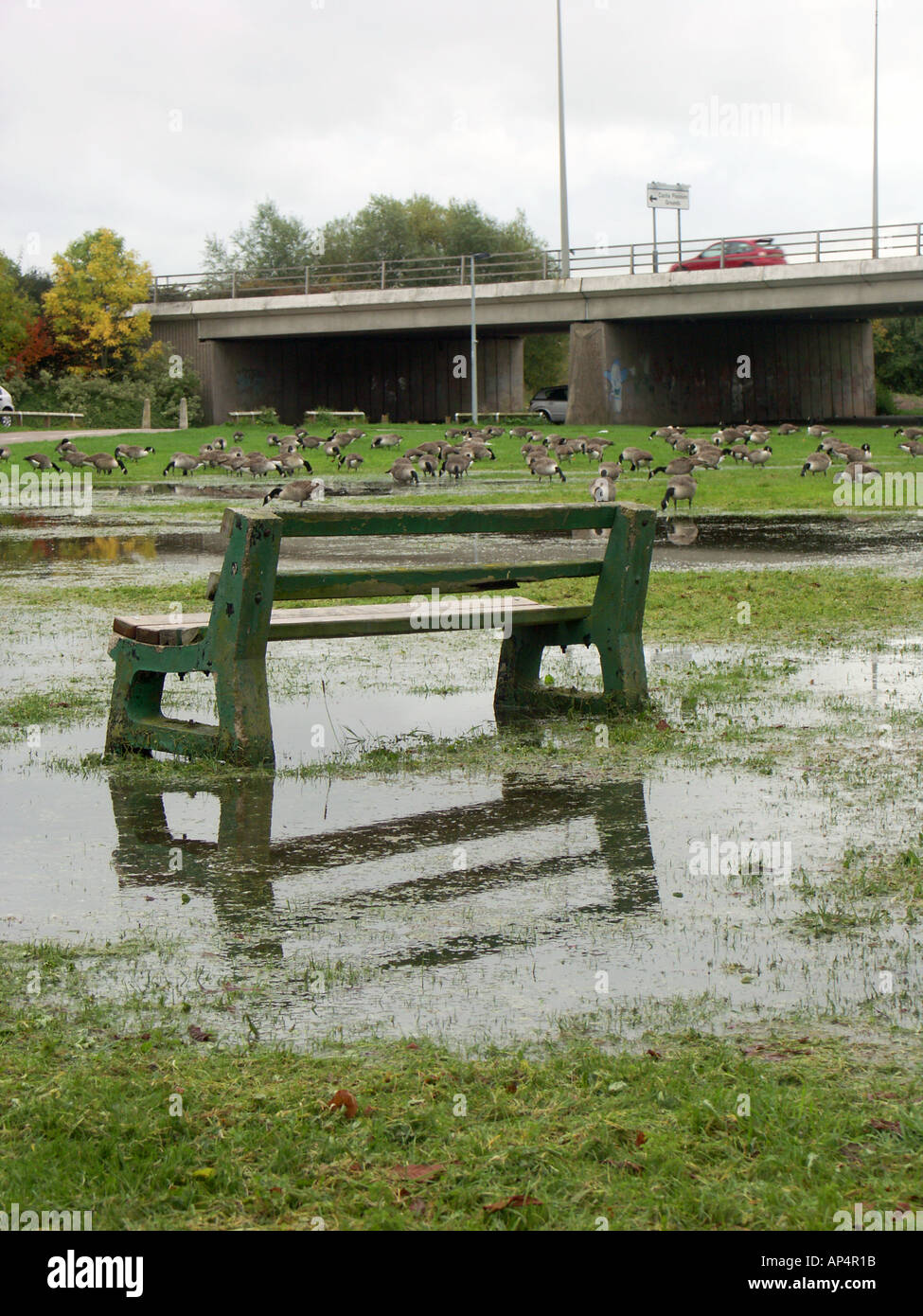 A park bench partially submerged by flooding in the UK Stock Photo - Alamy