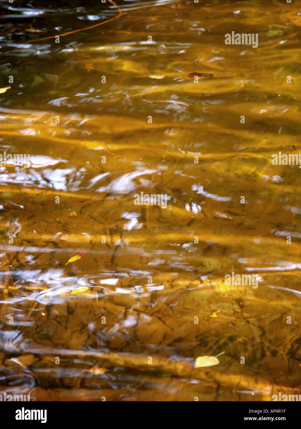 Ripples in Rust Coloured Water. The colouring in is caused by ...