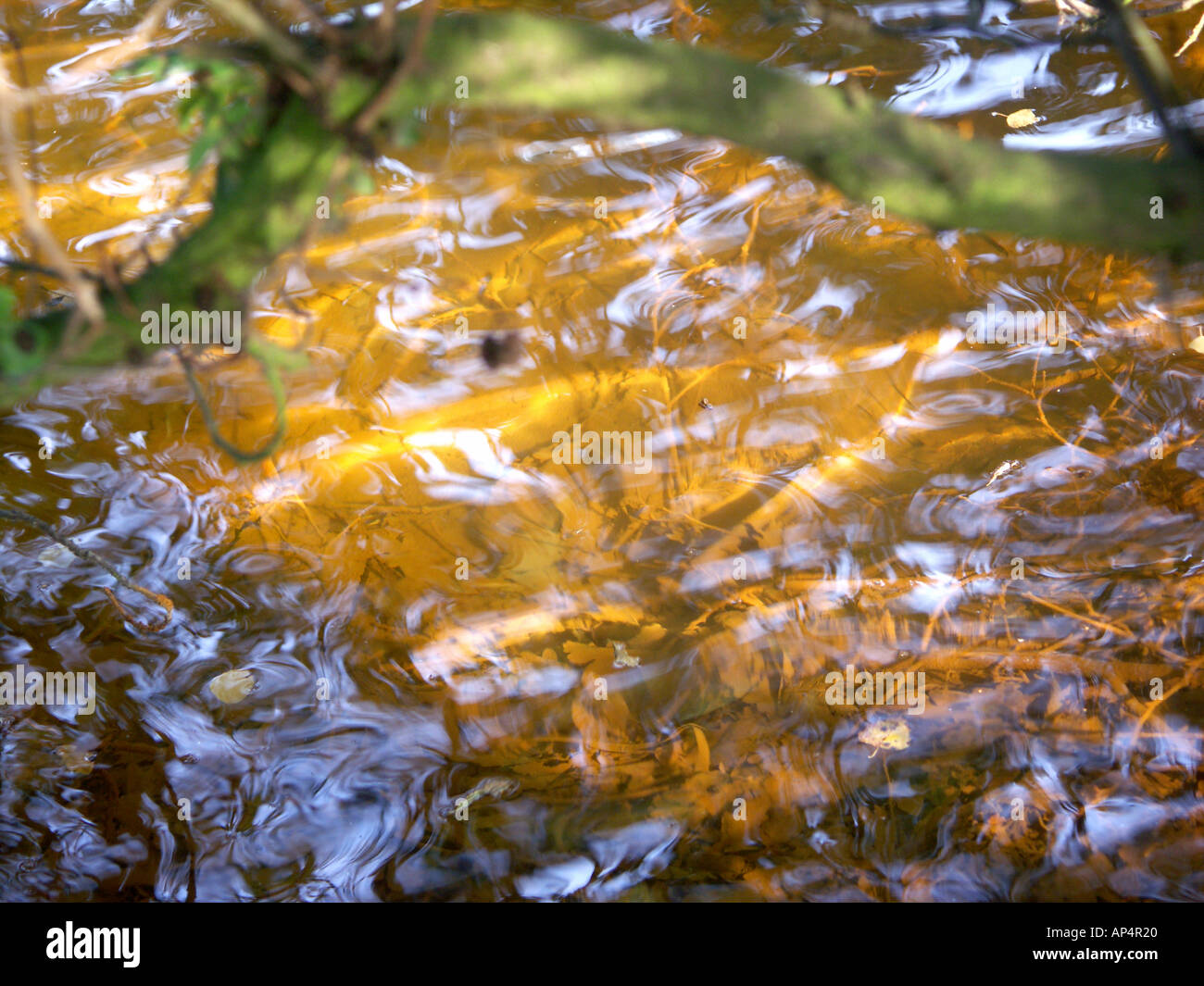 Ripples in Rust Coloured Water. The colouring in is caused by ...