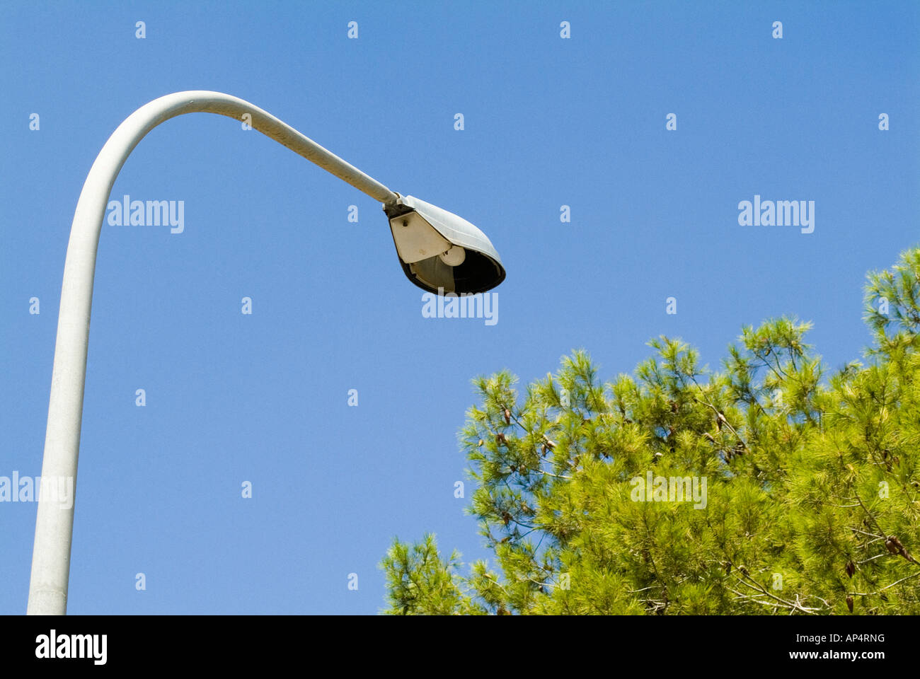 Streetlight and tree Stock Photo - Alamy