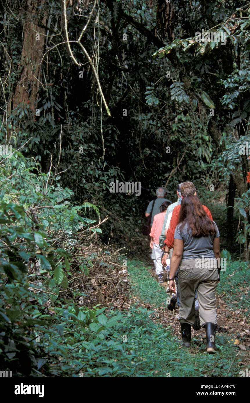 Central America, Panama, Cana. Darien National Park. Runway trail Stock ...