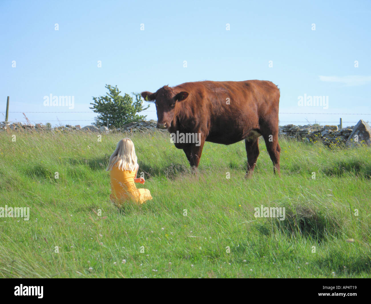 Girl with cow Stock Photo - Alamy