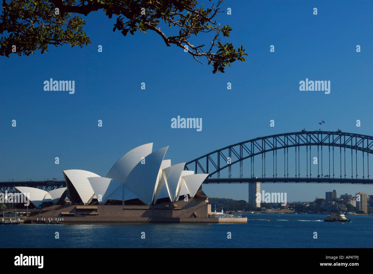 Sydney Opera House and Harbour Bridge, Australia Stock Photo - Alamy